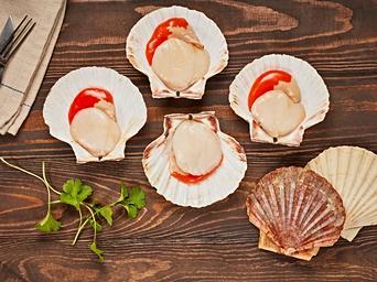 Pan-fried Scallops with Chilli Flakes Recipe | field&flower