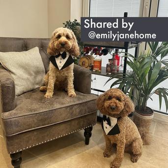 Devon Bone™ Rectified Edge Tile | Topps Tiles