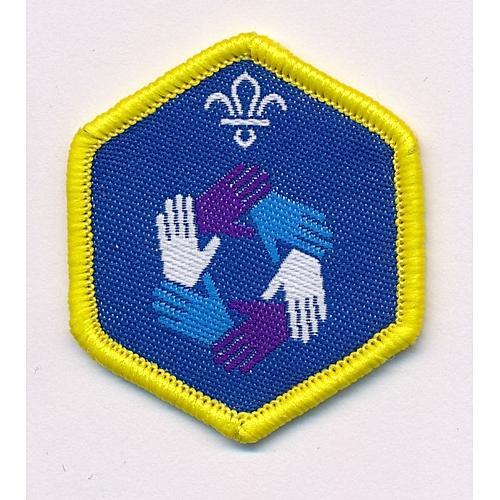Cub Scout Teamwork Challenge Award Badge