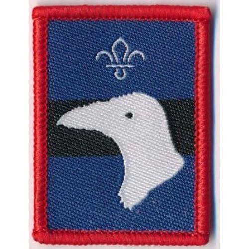 Scout Patrol Badge Raven Leaders
