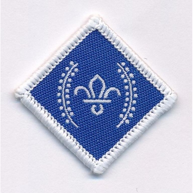 Chief Scouts Diamond Award Badge Leaders