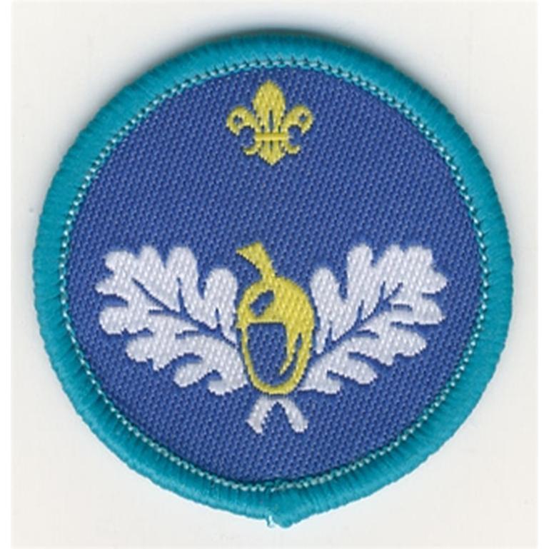 Explorer Scout Naturalist Activity Badge Leaders