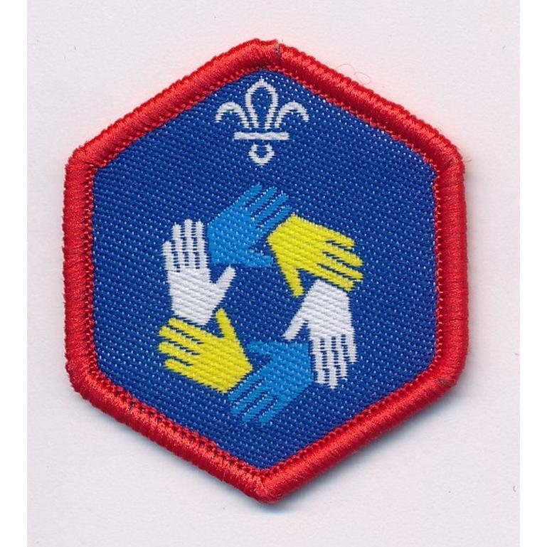 Scout Teamwork Challenge Award Badge Leaders