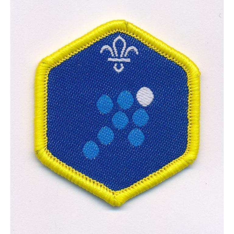 Cub Scout Team Leader Challenge Award Badge Leaders